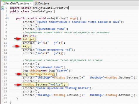 pro java Типы данных java Введение