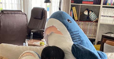 獅子寶寶（我是菲菲）