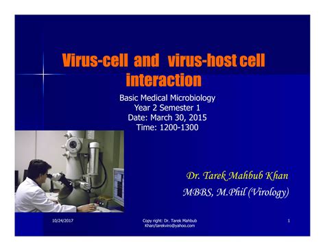 Virus Cell And Virus Host Interaction Virology 7 Pdf