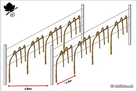 Sylvoz Plant Accessories For Vineyards