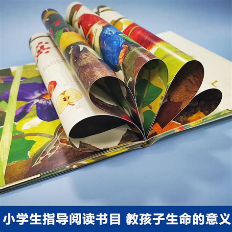 一粒种子的旅行德安妮·默勒anne Moller编绘王乾坤译著绘本少儿南海出版公司图书虎窝淘