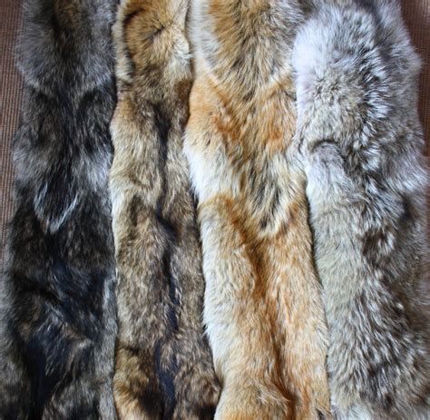 Coyote Colors By Nimgaraf On Deviantart