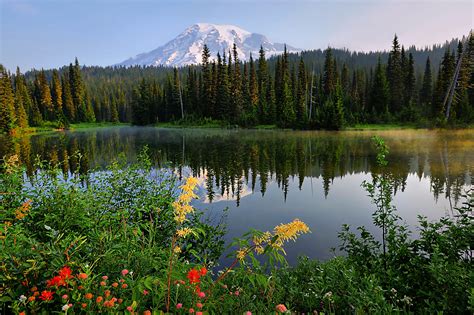 Den Mount Rainier National Park In Washington Erleben Canusa