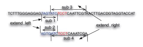 seed extension by bwa sw algorithm red substring tcct is the seed a