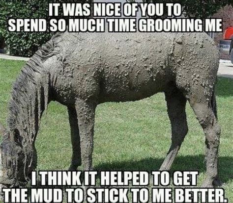 Muddy Memes So Thats Where The Mud Comes From Rmeme