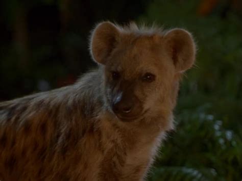The Jungle Book Mowglis Story 1998