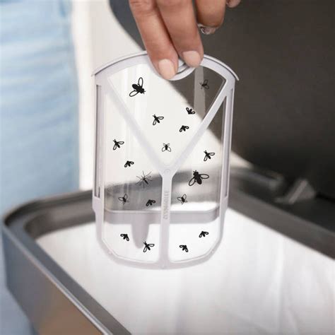Zevo Flying Insect Trap Fly Trap Twin Pack