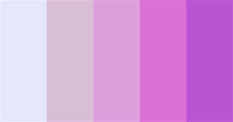 lavender fields color palette