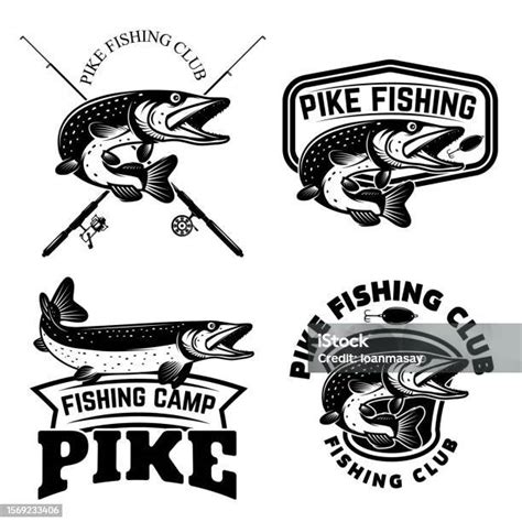 흑백 스타일의 파이크 낚시 엠블럼 세트 파이크 물고기 라벨 기호 포스터 배지 남자 어부에 대한 스톡 벡터 아트 및 기타 이미지 남자 어부 민물낚시 강 Istock
