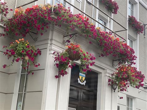 Killarney Determined To Protect Its Gold Medal Status