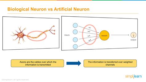 Deep Learning With Python Deep Learning And Neural Networks Deep