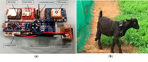 Figure 1 From Reducing Gps Error For Smart Collars Based On Animals Behavior Semantic Scholar Figure 1 From Reducing Gps Error For Smart Collars Based On Animals Behavior Semantic Scholar