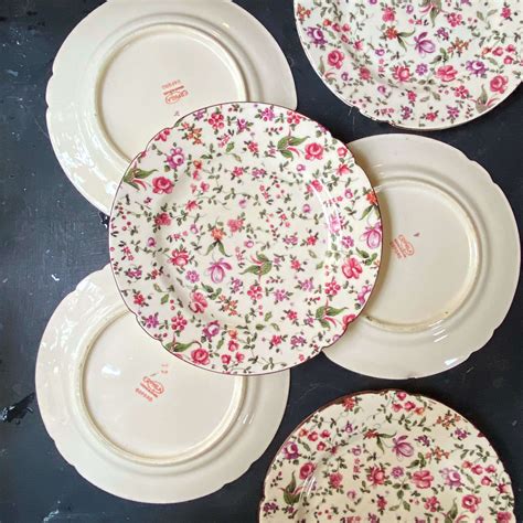 Rare Antique Floral Chintz Luncheon Plates Set Of Six Made In Czec