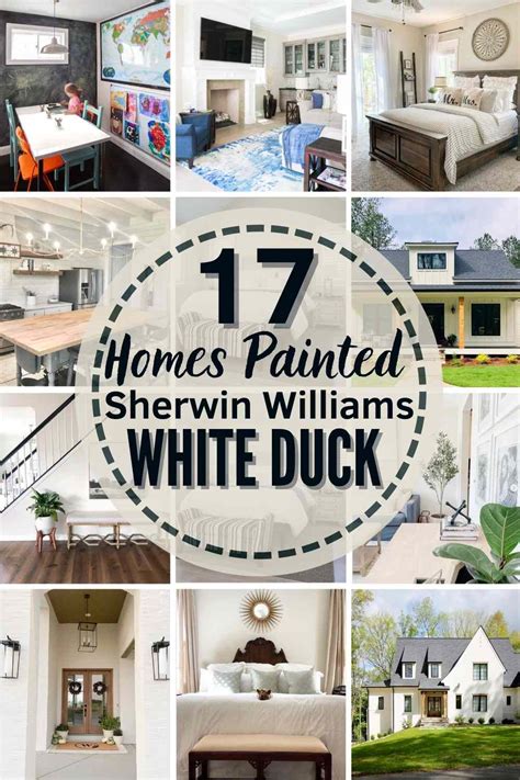 Sherwin Williams White Duck Sw 7010 Color Study Pictures