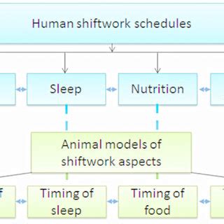 Shiftwork Can Be Disentangled Into Different Aspects Blue Blocks For