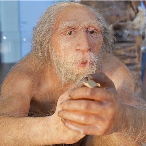 Homo Sapiens Reconstruction 86000 Year Old Human Bone Shows Failed