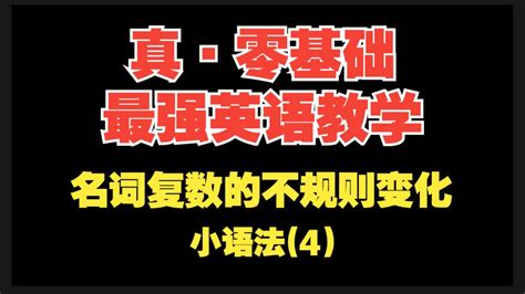 【真·零基础英语 小语法4 】名词复数的不规则变化 温州浪叶轩 温州浪叶轩 哔哩哔哩视频