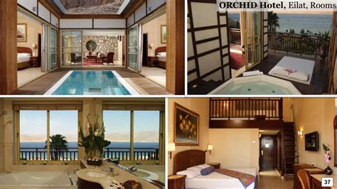 Edith New Presentation Pdf