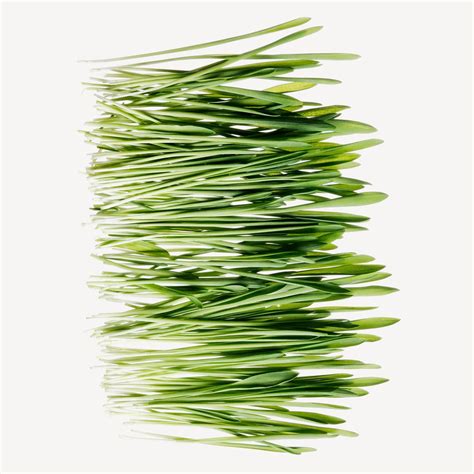 Green Notes Perfume Ingredient Wikiparfum