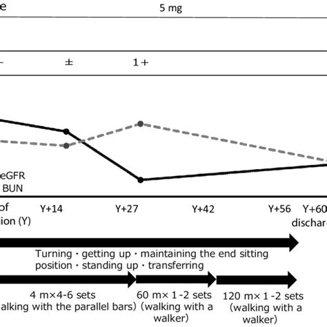 Progress During Hospitalization The Steroid Dosage Renal Function