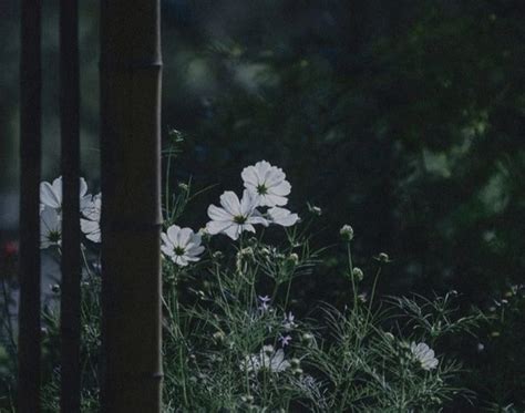 Memory Lab Memory Lab Added A New Photo