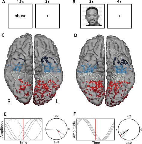 Tasks Patients And Itc Analysis Ab Schematic Representation Of The