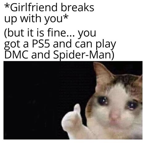 Devils Never Cry Right Cause Im Not R Devilmaycry