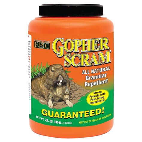 Groundhog Poison And Repellents For Control