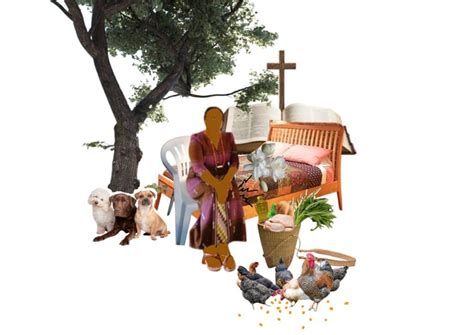 Residential Project Users Analysis Soad School Of Architecture And