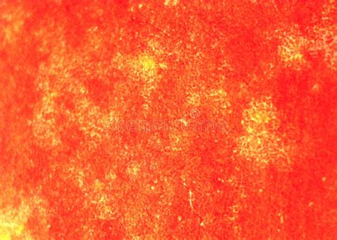 Apple Fruit Food Image Under The Microscope Micro Photography