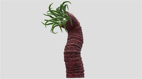 Beast Tentacle 3d Model By Buncic