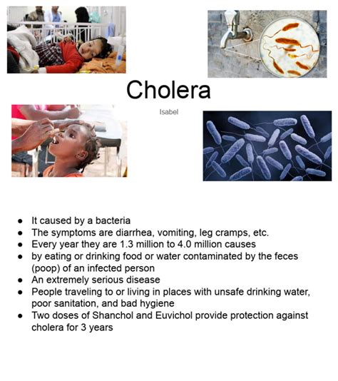 Understanding Cholera Causes And Prevention Pdf