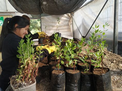 Nosotros Biocys Consultoría Ambiental