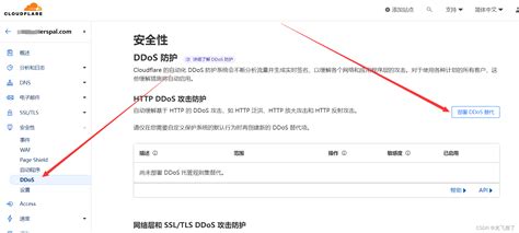 Cloudflare防cc、ddos攻击保姆级教程，附带防御规则cloudflare Ddos Csdn博客