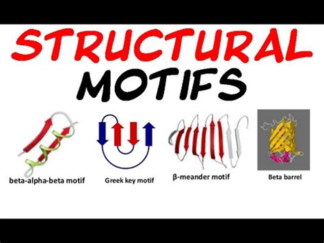 Structural Motifs Of Protein Youtube