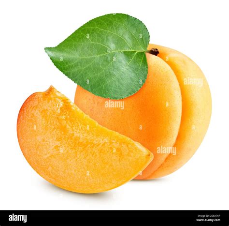 Whole And Slice Apricot On White Background Apricot Isolated On White