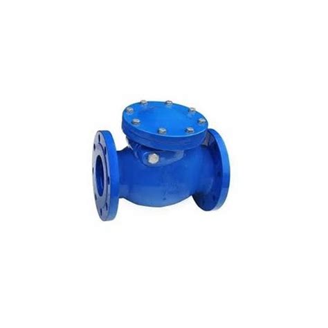 Nrv Is F E Leader Ci Reflux Valve At Best Price In Delhi Industrial