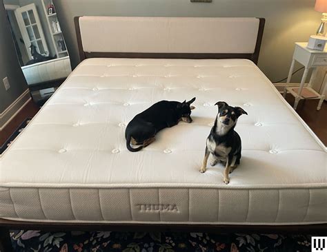 Thuma Classic Bed Frame Review Functional Meets Fabulous Wired