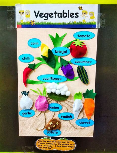 Vegetable Poster For Preschool Arts And Crafts