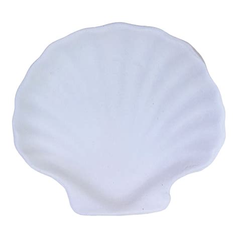 Shell Ceramic