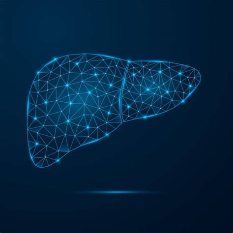 330 Enzyme Background Stock Illustrations Royalty Free Vector