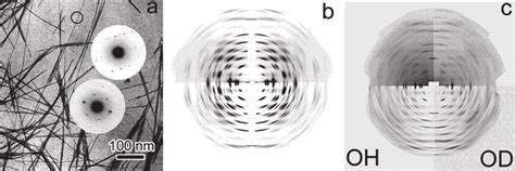 A Electron Micrograph Of Cellulose Microcrystals B Top