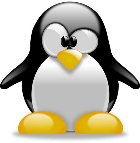 Computer Operating System Penguin