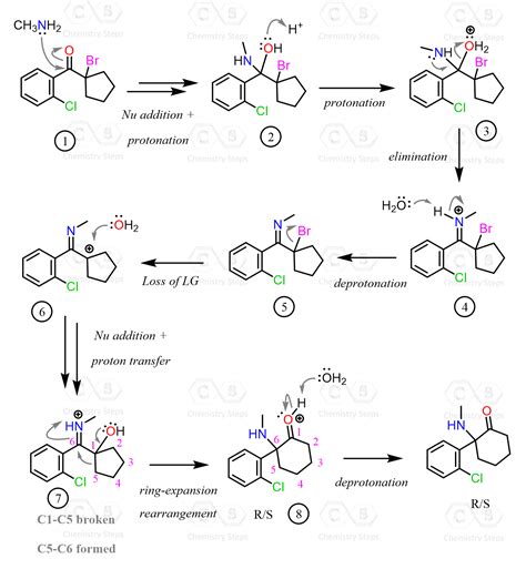Imines From Aldehydes And Ketones With Primary Amines Chemistry Steps