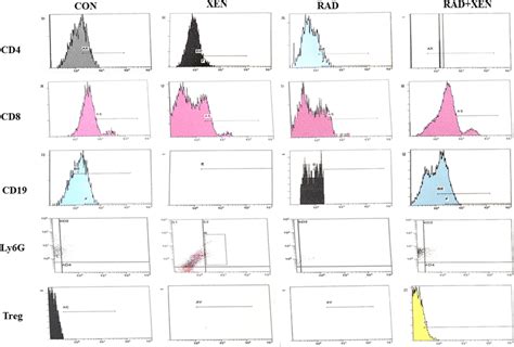 Representative Plots Of The Cd4 Cd8 Treg Cd19 And Ly6g In The