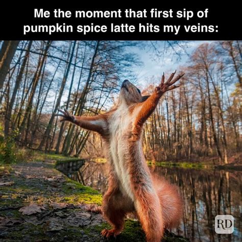 32 Hilarious Pumpkin Spice Memes Youll Want To Share This Fall [2023]