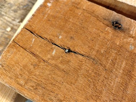 Extracting Stubborn Nails From Reclaimed Wood Finewoodworking