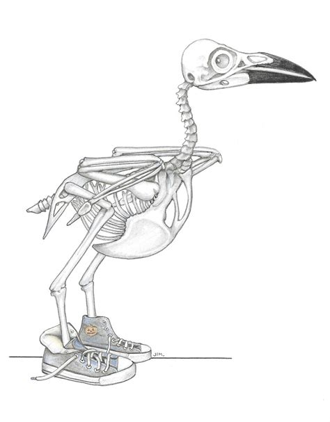 Crow Skeleton In High Tops By Jimsbirds Redbubble