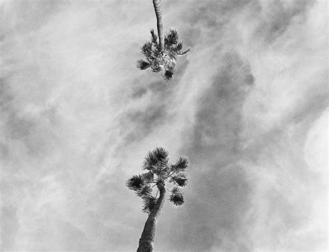 How To Add Noise Film Grain To Your Images In Photoshop Giggster Guide