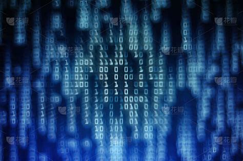 数据科学二进制代码。大数据分析。